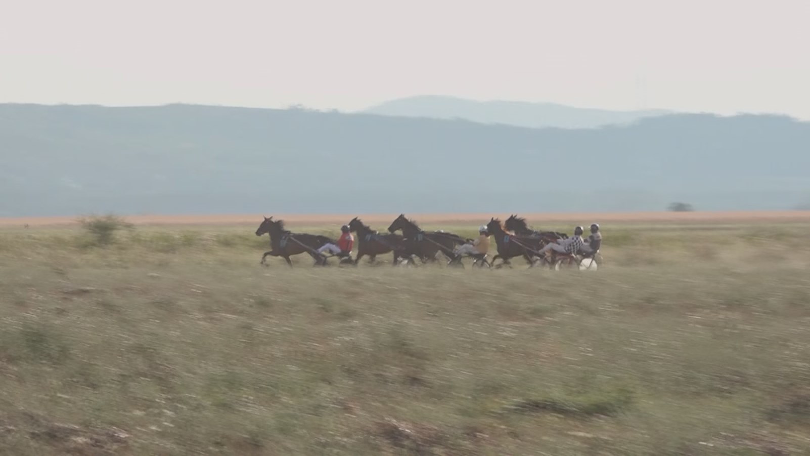 Održane tradicionalne konjičke trke u Omoljici - RTV Pančevo